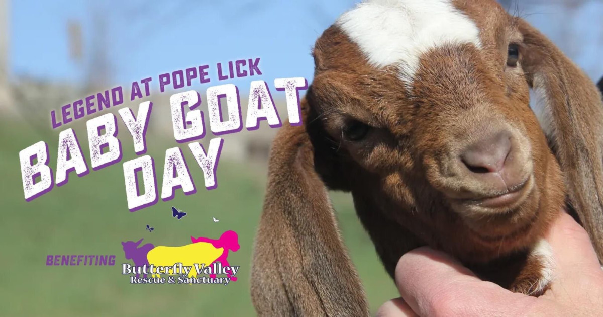 Legend at Pope Lick: Baby Goat Day! in Louisville at Pope Lick Park