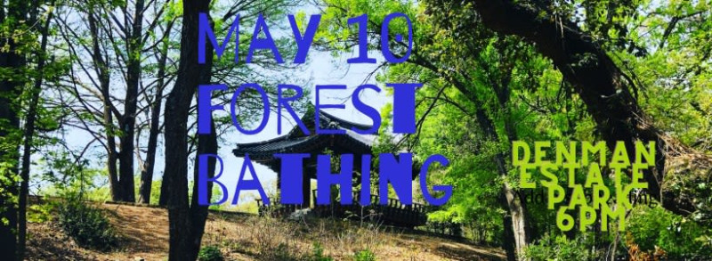 Forest Bathing at Denman Estate in San Antonio at Denman Estate