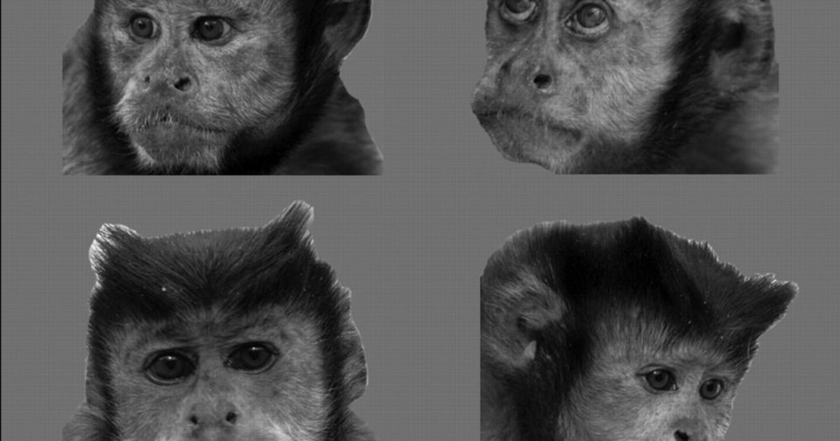 Kevin Mccarthy Quartet Hosts The Sunday Monster Jam - Now 7 to 10 in