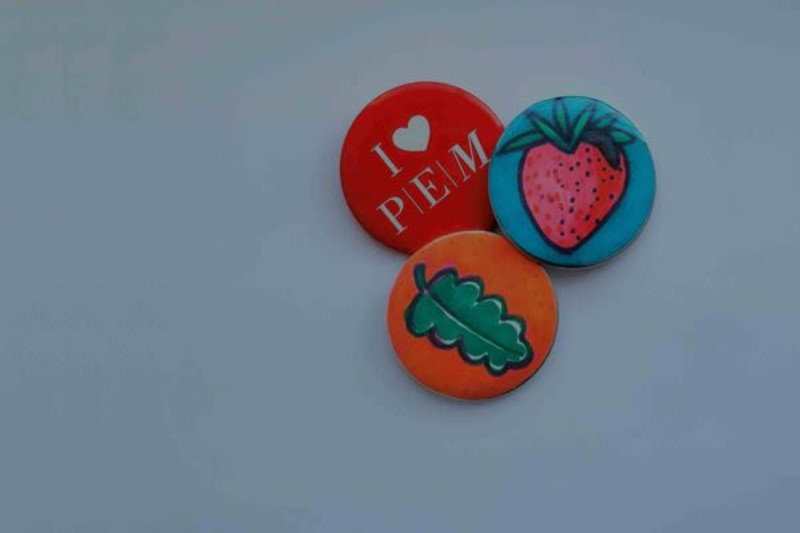 Seasonal Fruit and Vegetable Pins in Salem at Peabody Essex