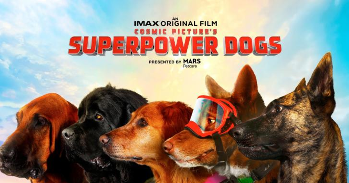 Superpower Dogs in Portland at Oregon Museum of Science