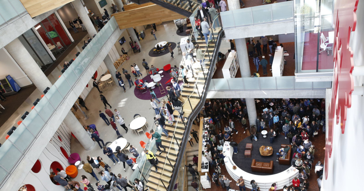 APL After Dark: Summer Camp in Austin at Austin Public Library