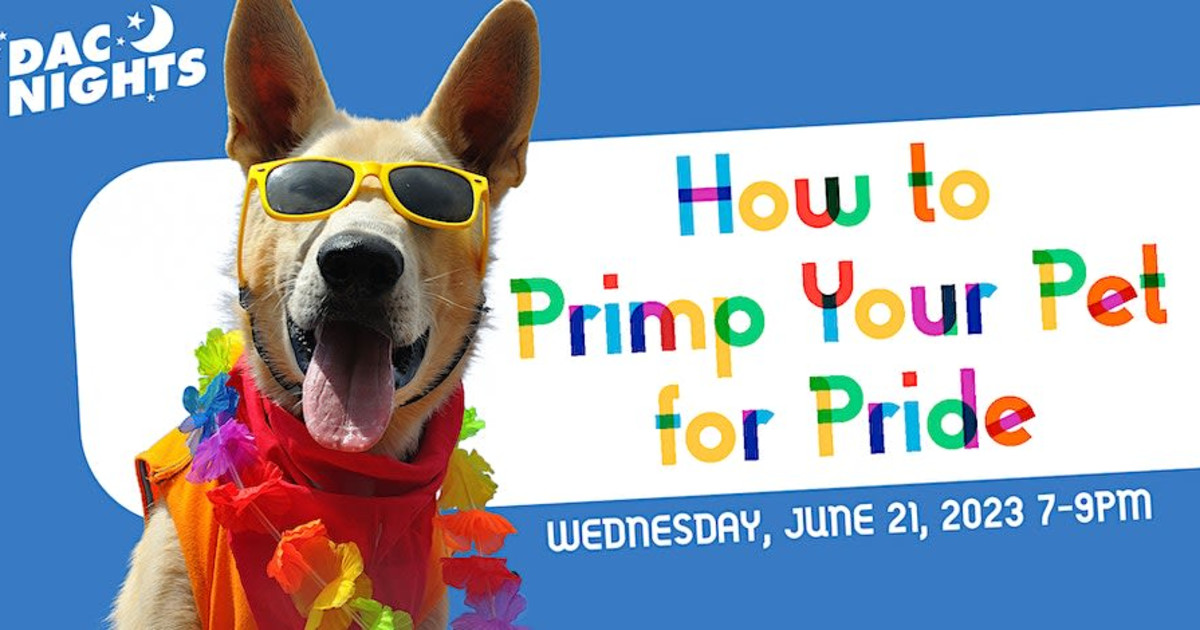 DAC Nights Pride: How to Primp Your Pet for Pride in Austin at
