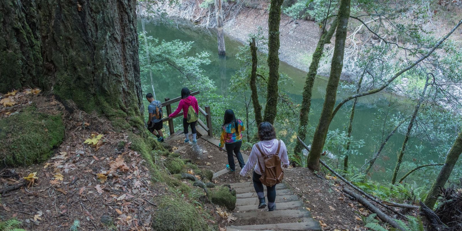 The Bay's Best Trails and Hikes