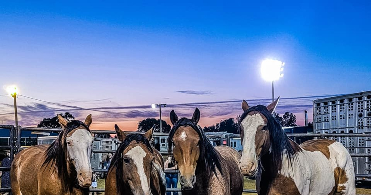 Three Bar J Rodeo in Columbus at Bartholomew County Fairgrounds