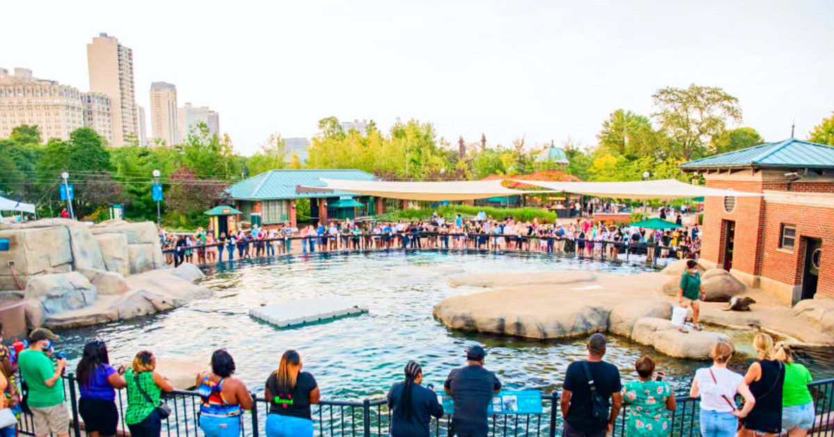 Saturday Night at the Zoo - An Adults Only Evening at Lincoln Park