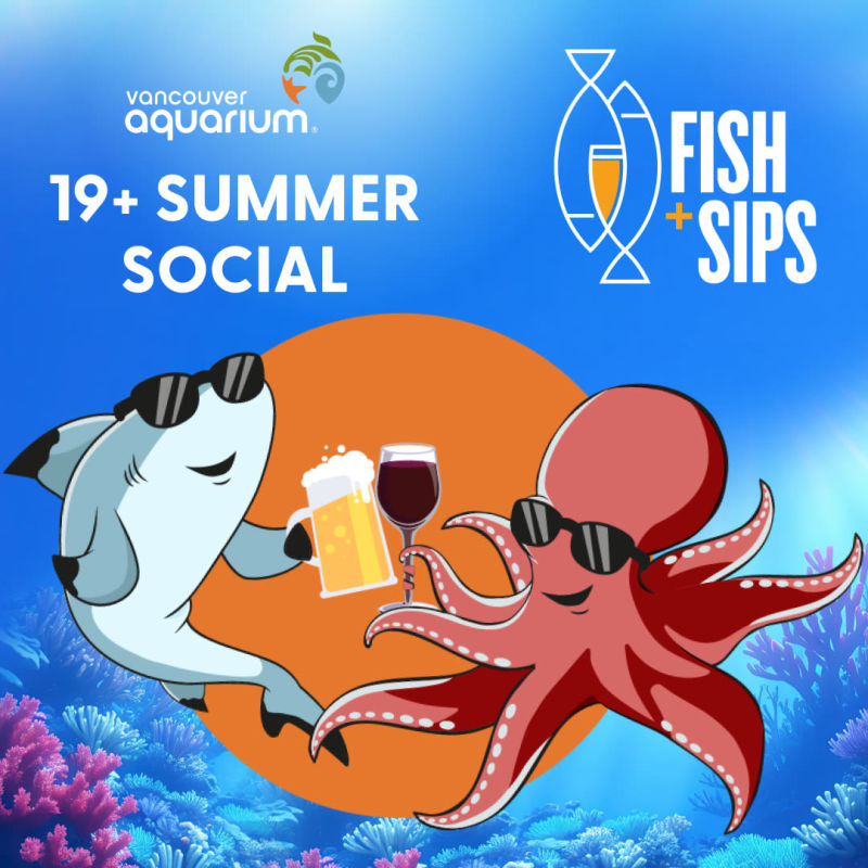 Fish + Sips in Vancouver at Vancouver Aquarium