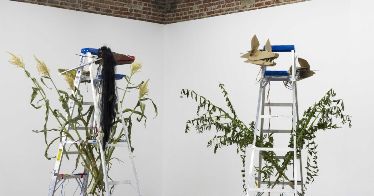 New Work: Fernando Palma Rodríguez in San Francisco at SFMOMA