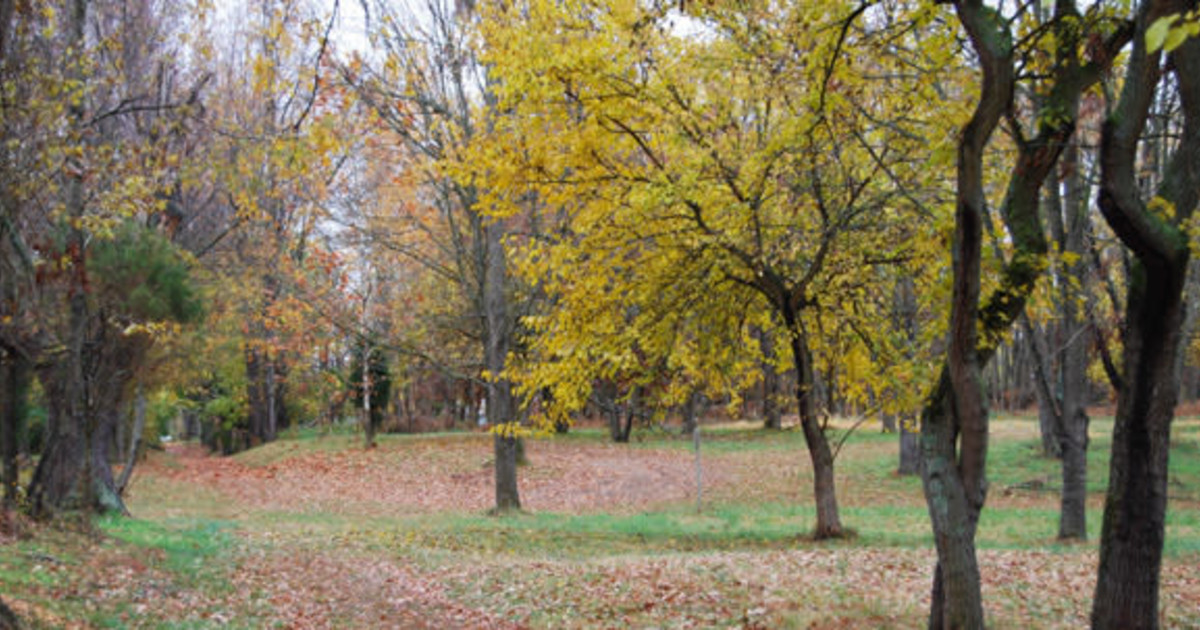 Nature Center Fun in Goshen at Creasey Mahan Nature Preserve