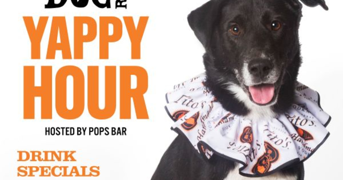 Yappy Hour Adoption Fundraiser in San Francisco at Pop's Bar