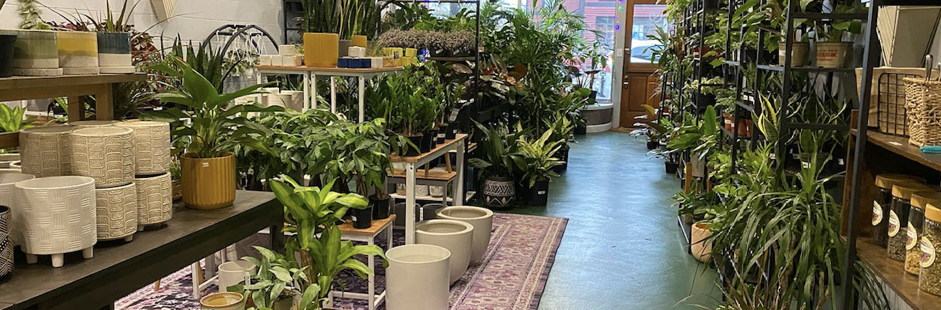 Indianapolis Plant Stores