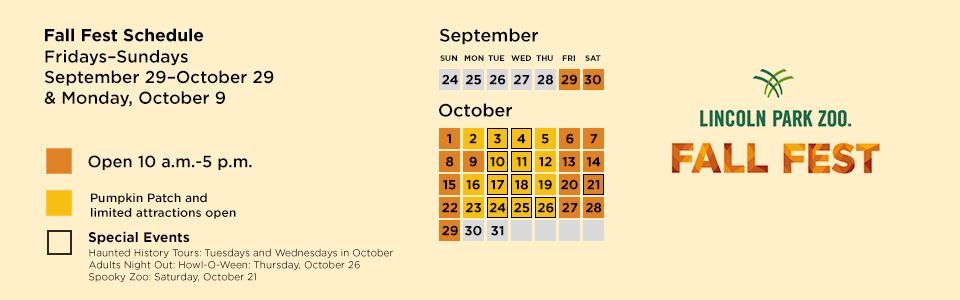 Fall Fest in Chicago at Lincoln Park Zoo