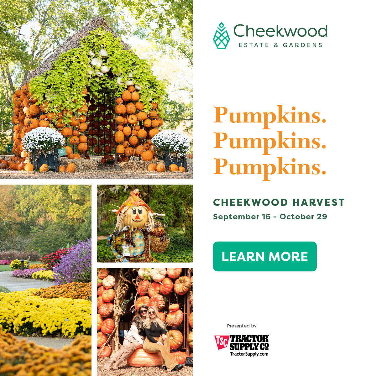 Cheekwood Harvest in Nashville at Cheekwood Botanical Gardens