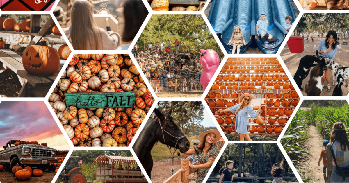 2023 Central Texas Fall Festival in Georgetown at Sweet Eats