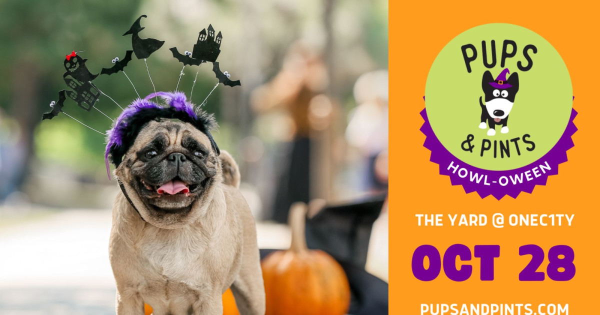 Pups and Pints HOWLoween Festival in Nashville at oneC1TY