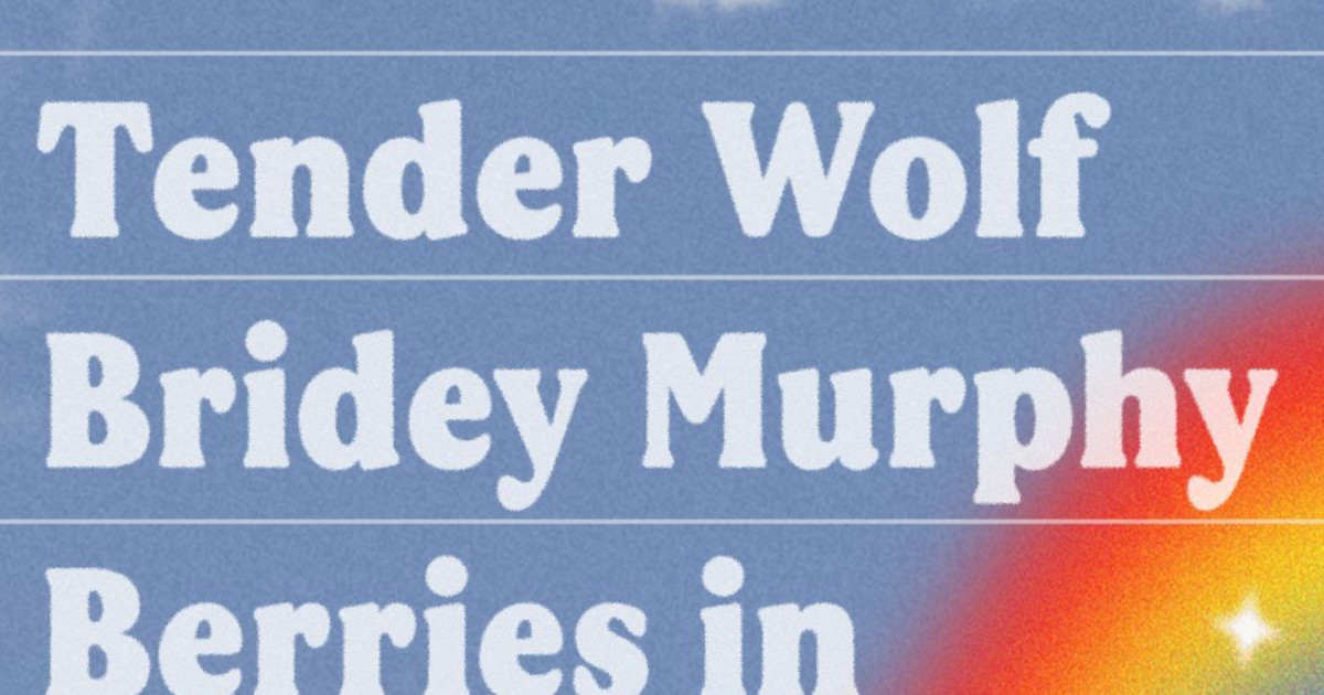 Tender Wolf, Bridey Murphy, and Berries In The Woods @ Cheer Up