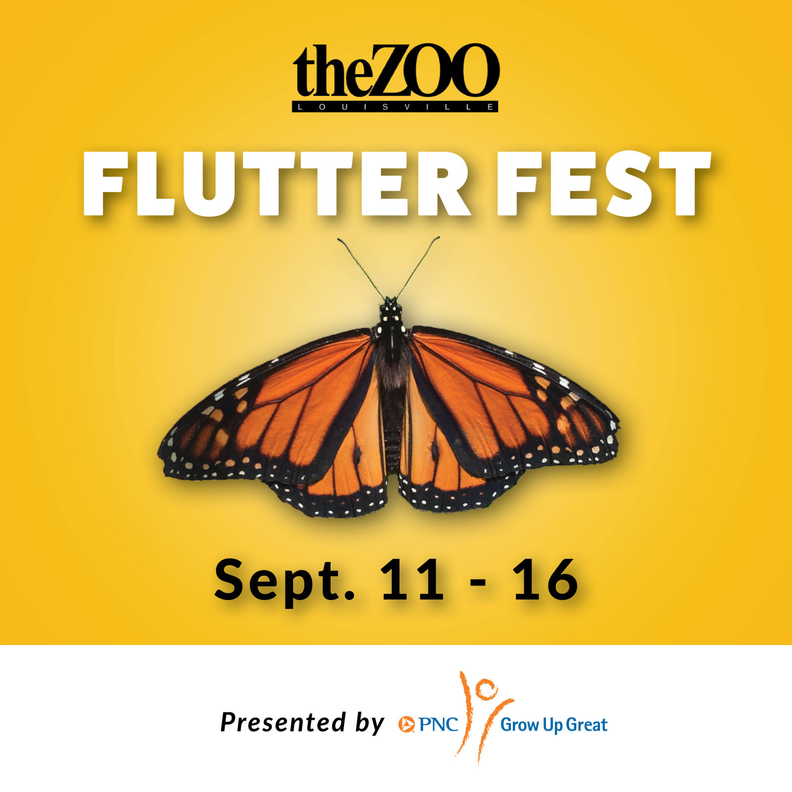 Flutter Fest (2023) in Louisville at Louisville Zoo