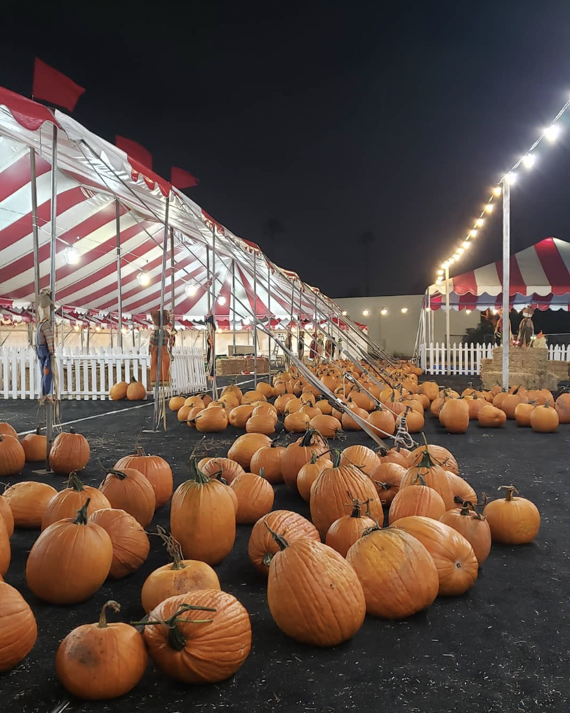 Guide To LA's Local Pumpkin Patches & Hayrides