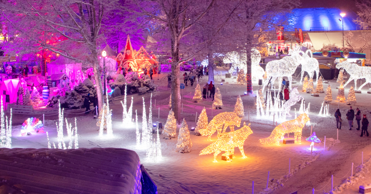 PNE Winter Fair in Vancouver at PNE Grounds