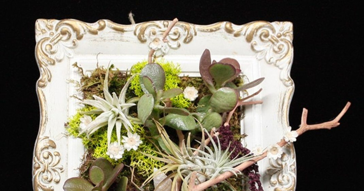 Make a Mini Living Wall Class in Austin at Articulture Designs