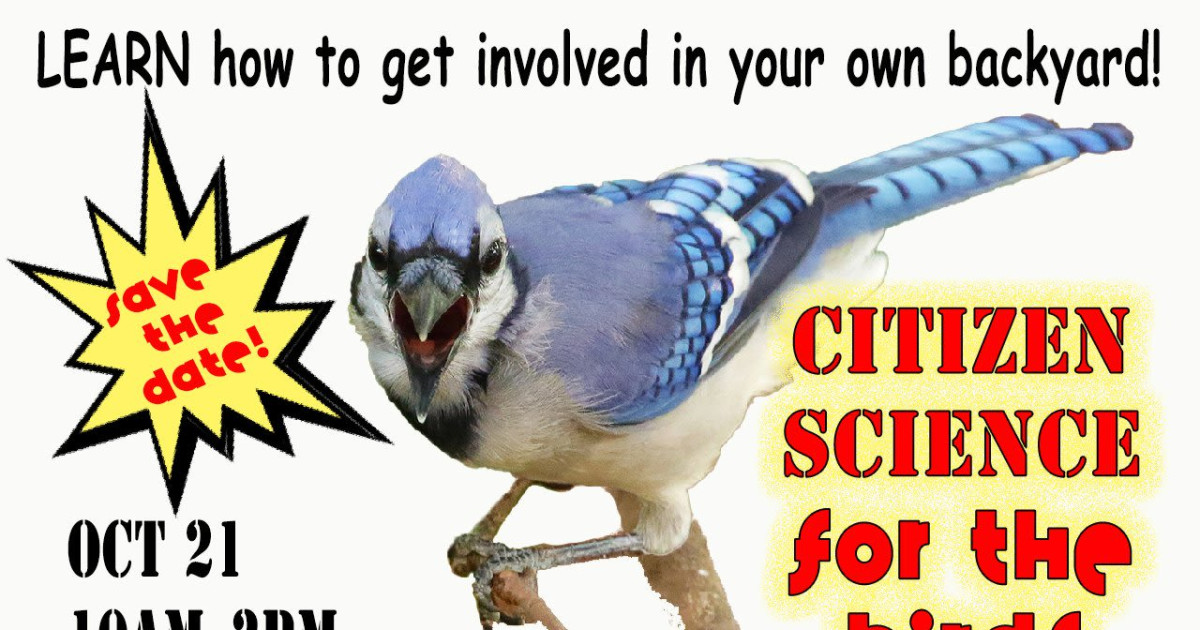 Citizen Science for the Birds in Indianapolis at Karst Farm Park
