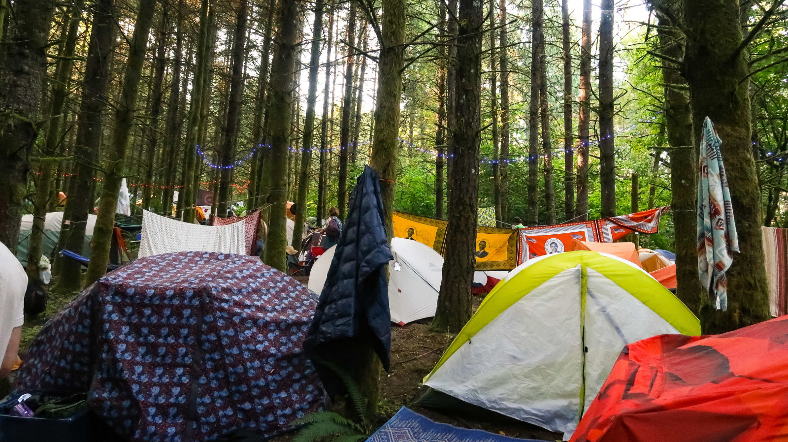 Pickathon @ Pendarvis Farm