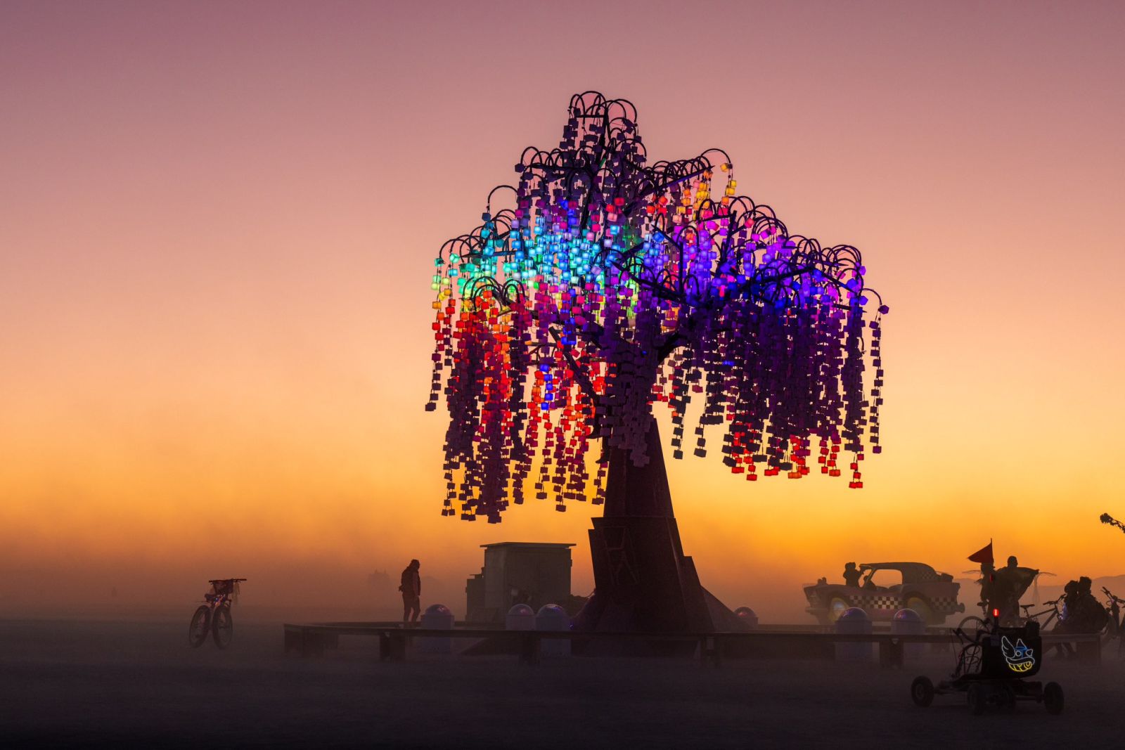 Entwined: Elder Mother Light Installation in The Bay Area at