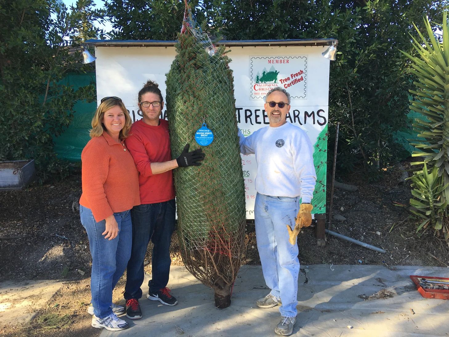 LA’s Christmas Tree Guide