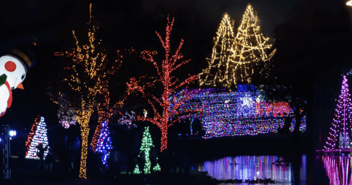 Light up the Lake w/ Function Band, Zach Carney, North of Luck