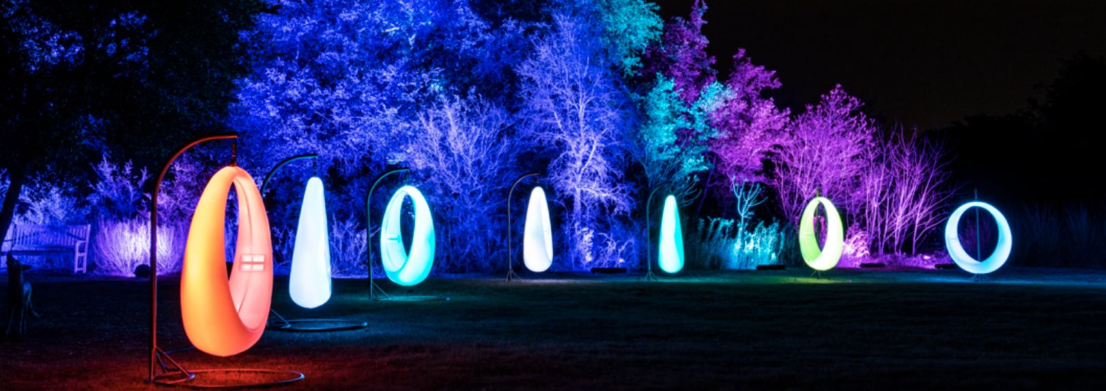 Luminations in Austin at Lady Bird Johnson Wildflower Center