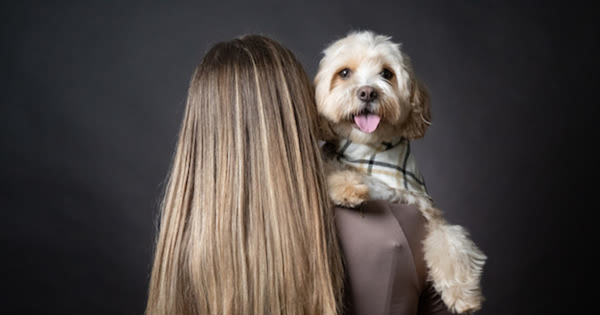 Portraits, Pups, Prose: A Few of My Favorite Things in Boston at