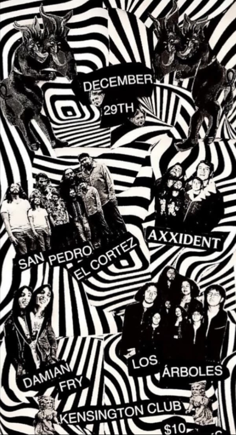 San Pedro El Cortez, Axxident, Damian Fry, Los Arboles in San