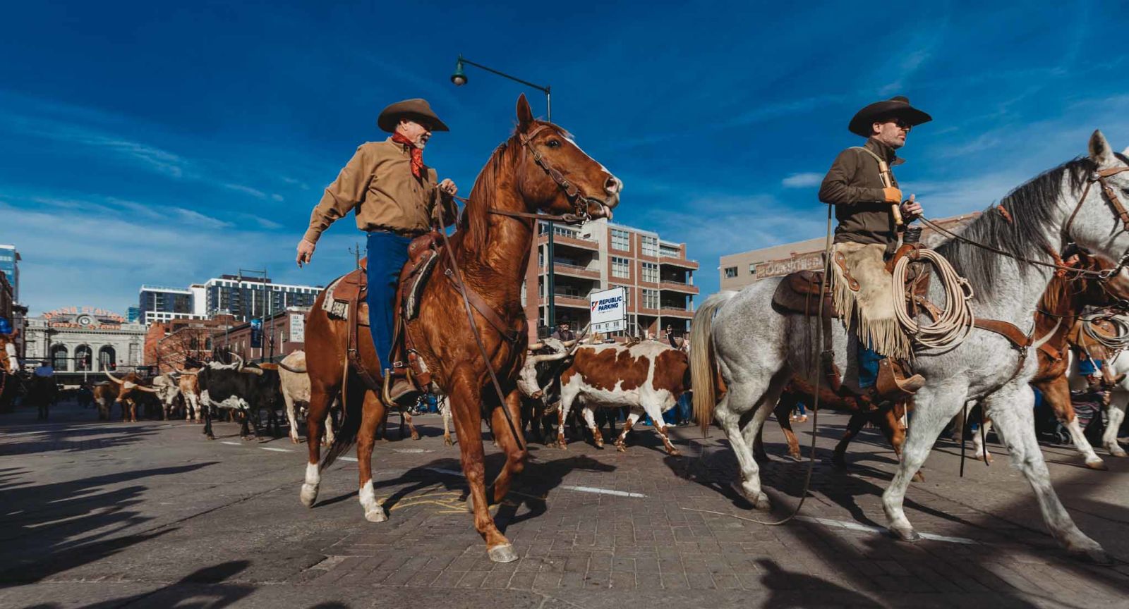 Denver Updates & News