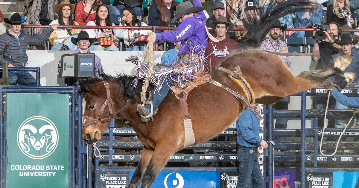 Pro Rodeo - CSU Performance in Denver at National Western Stock
