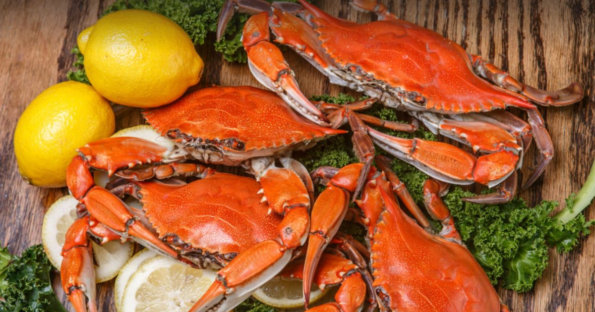 Petaluma: Penngrove Social Fireman's Club Crab Feed 2024 in The