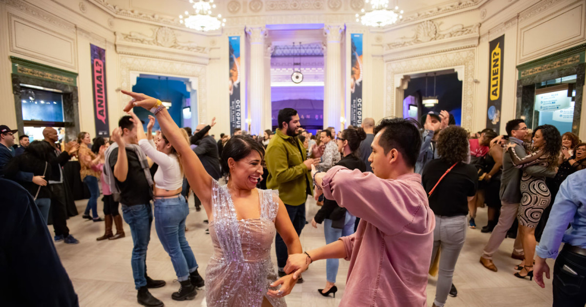Ritmo del Mar in Chicago at Shedd Aquarium