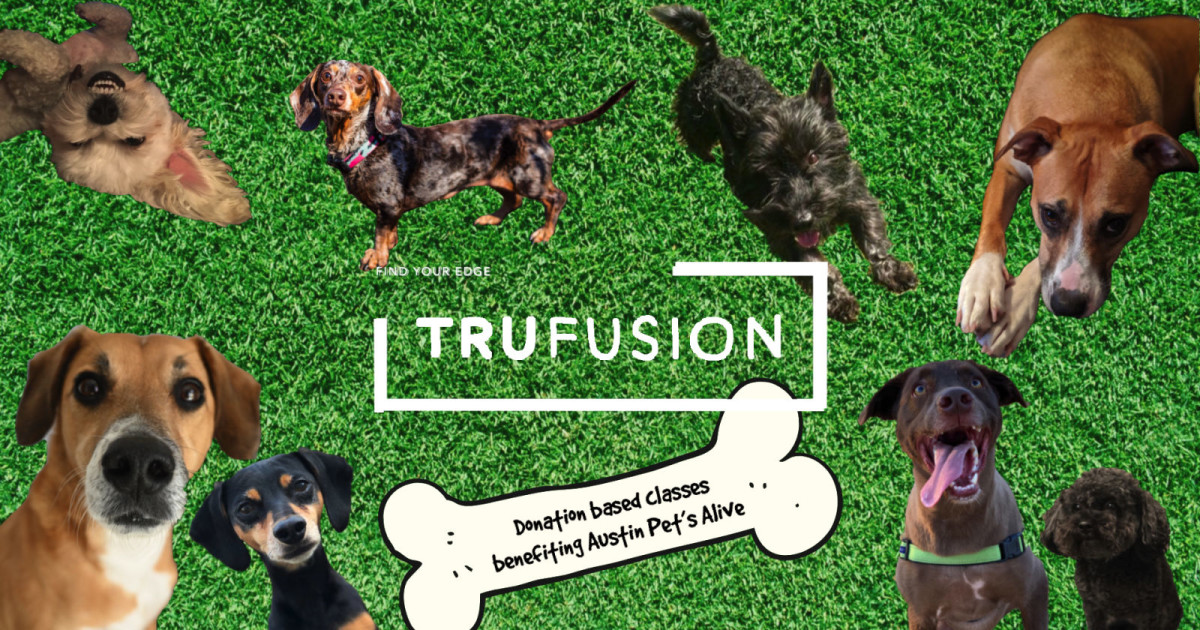 Donation Based Classes for Austin Humane Society in Austin at
