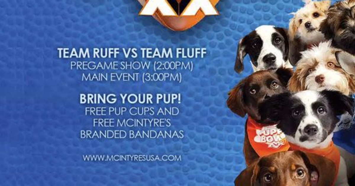 Puppy Bowl XX in San Antonio at McIntyre's Southtown
