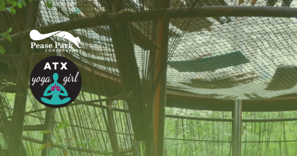 Sound Bath in the Treehouse: ATX Yoga Girl in Austin at Pease Park