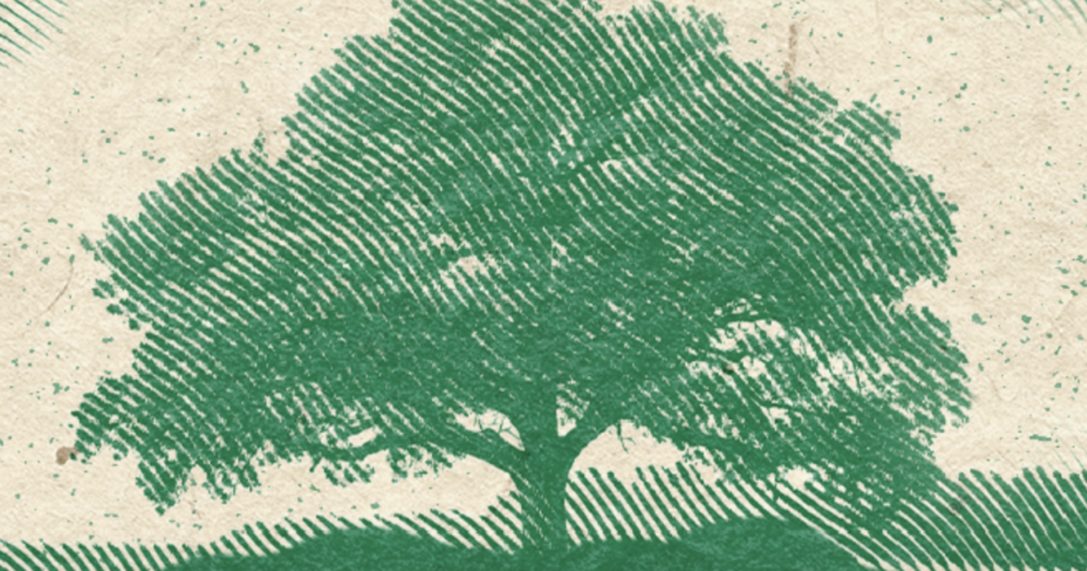 Verde Verde Verde Festival 2024 in Austin at Meanwhile Brewing