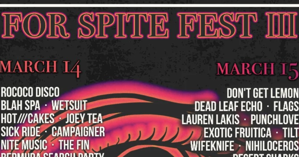 For Spite Fest III w/ Teenage Sequence, Dead Leaf Echo, Slurp the