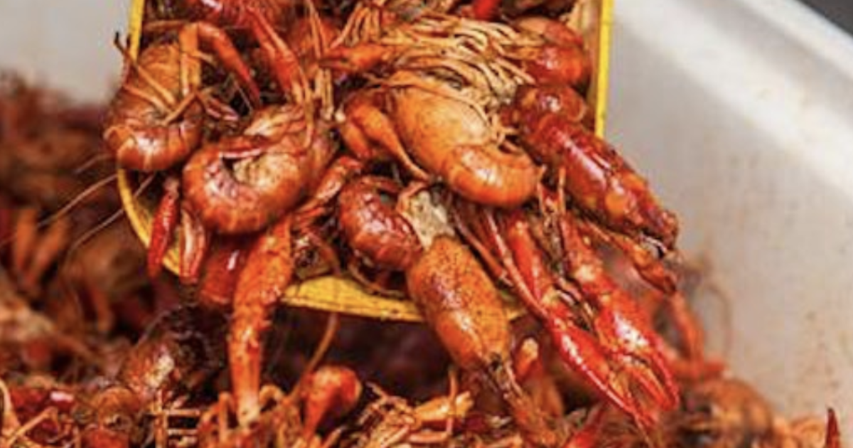 2024 ATX Crawfish Kickoff Festival in Austin at Republic Square