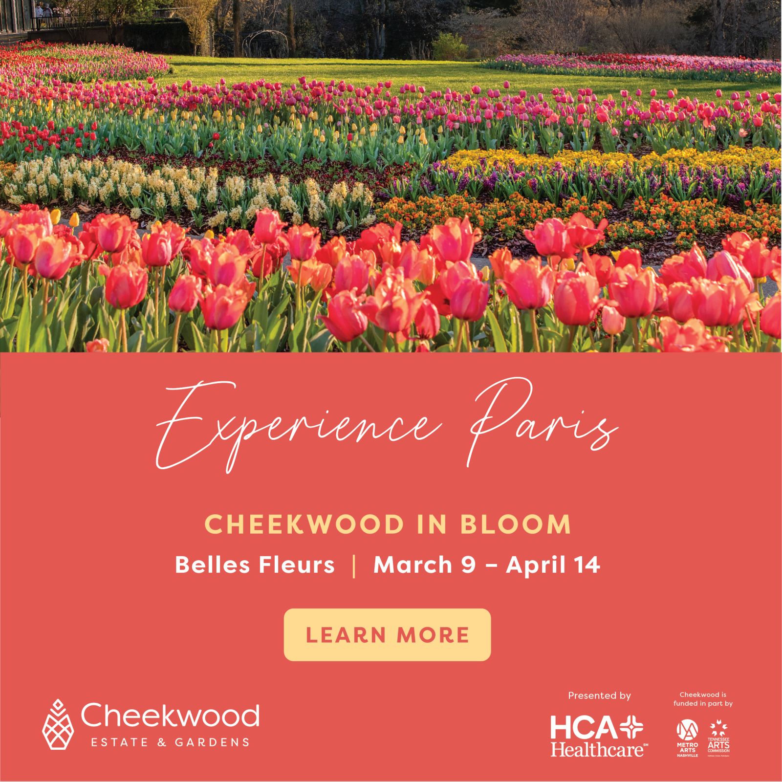 Cheekwood in Bloom: Belles Fleurs in Nashville at Cheekwood