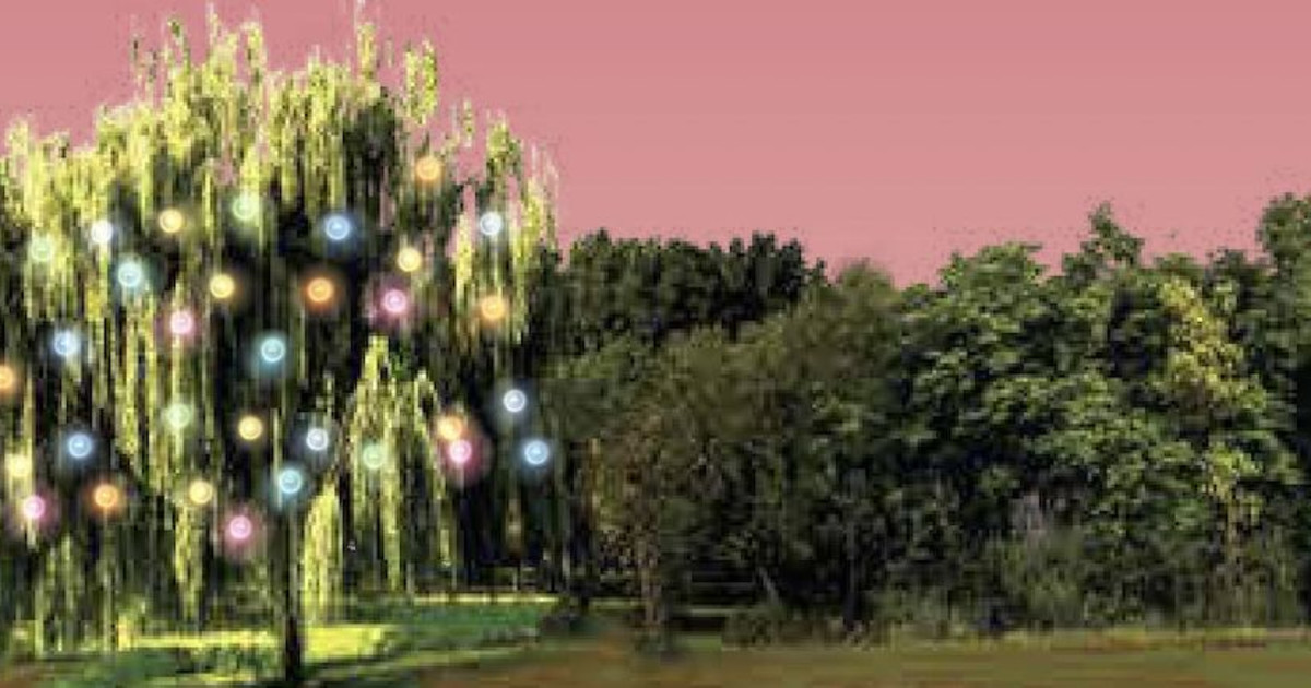 Evolution Festival 2024 in St. Louis at Forest Park