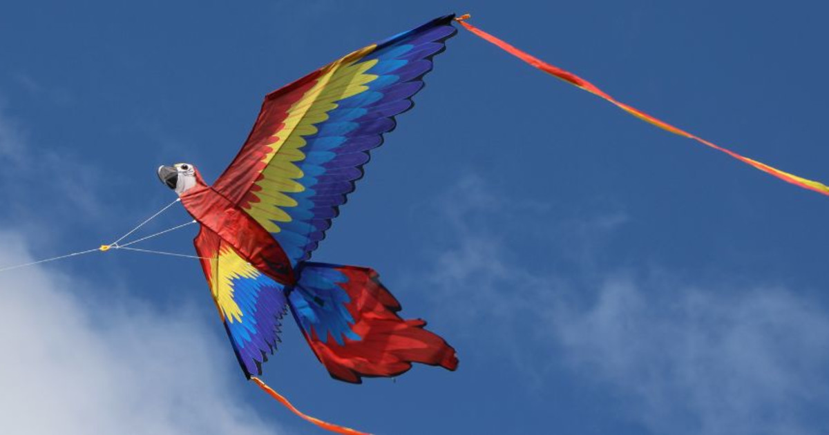 Cedar Park Kite Festival in Austin at Lakeline Park