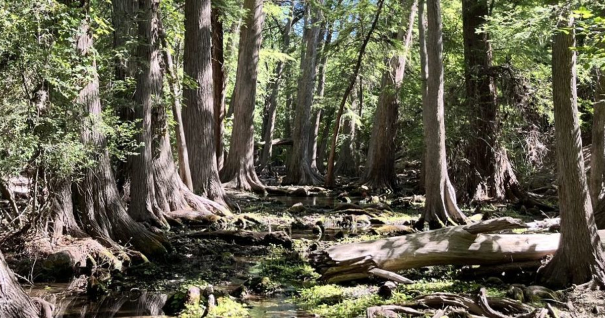 Stephen Ritz Lecture in Boerne at Cibolo Center for Conservation