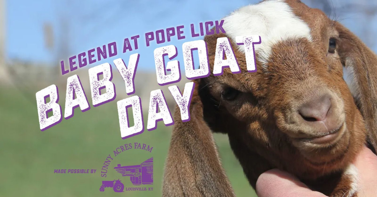 Baby Goat Day in Louisville at Pope Lick Park
