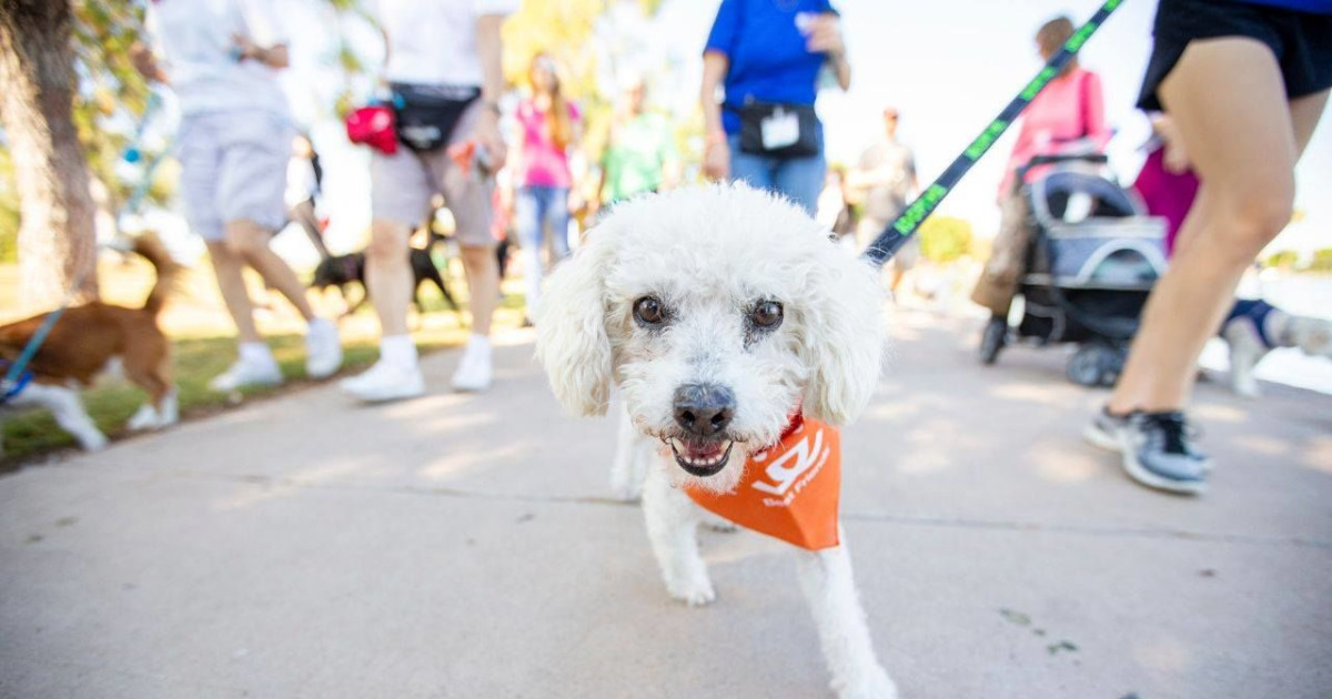 Strut Your Mutt in Austin at Walter E. Long Metropolitan Park