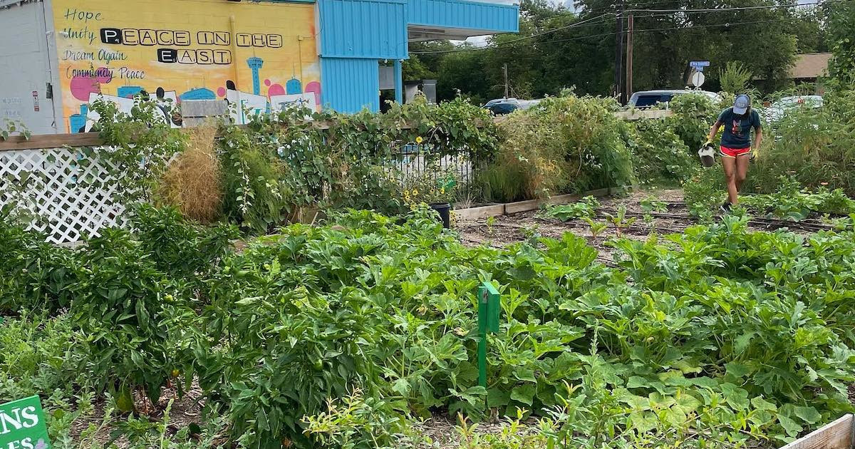 Juneteenth Summer Solstice in San Antonio at Gardopia Gardens