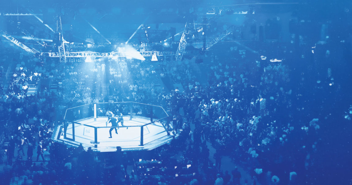 UFC Fight Night Watch Party in St. Louis at St. Louis Ballpark